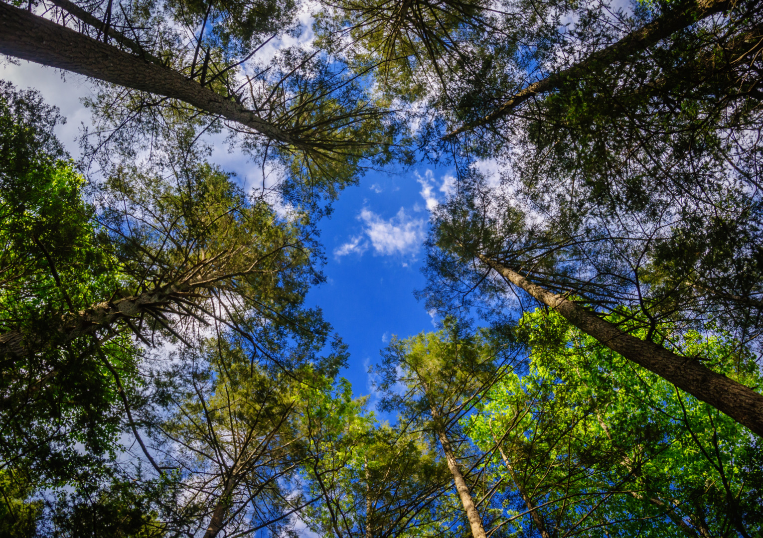 2016 Sep Competition Results – Flagpole Photographers Camera Club